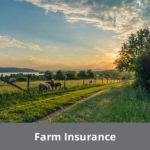 Business Insurance Solution Chinchilla, Toowoomba, Bell & Goondiwindi